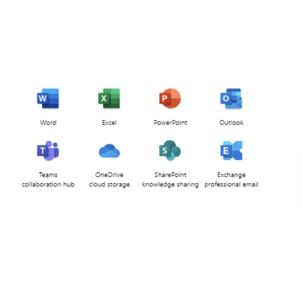 Microsoft 365 Business Basic - Karishma